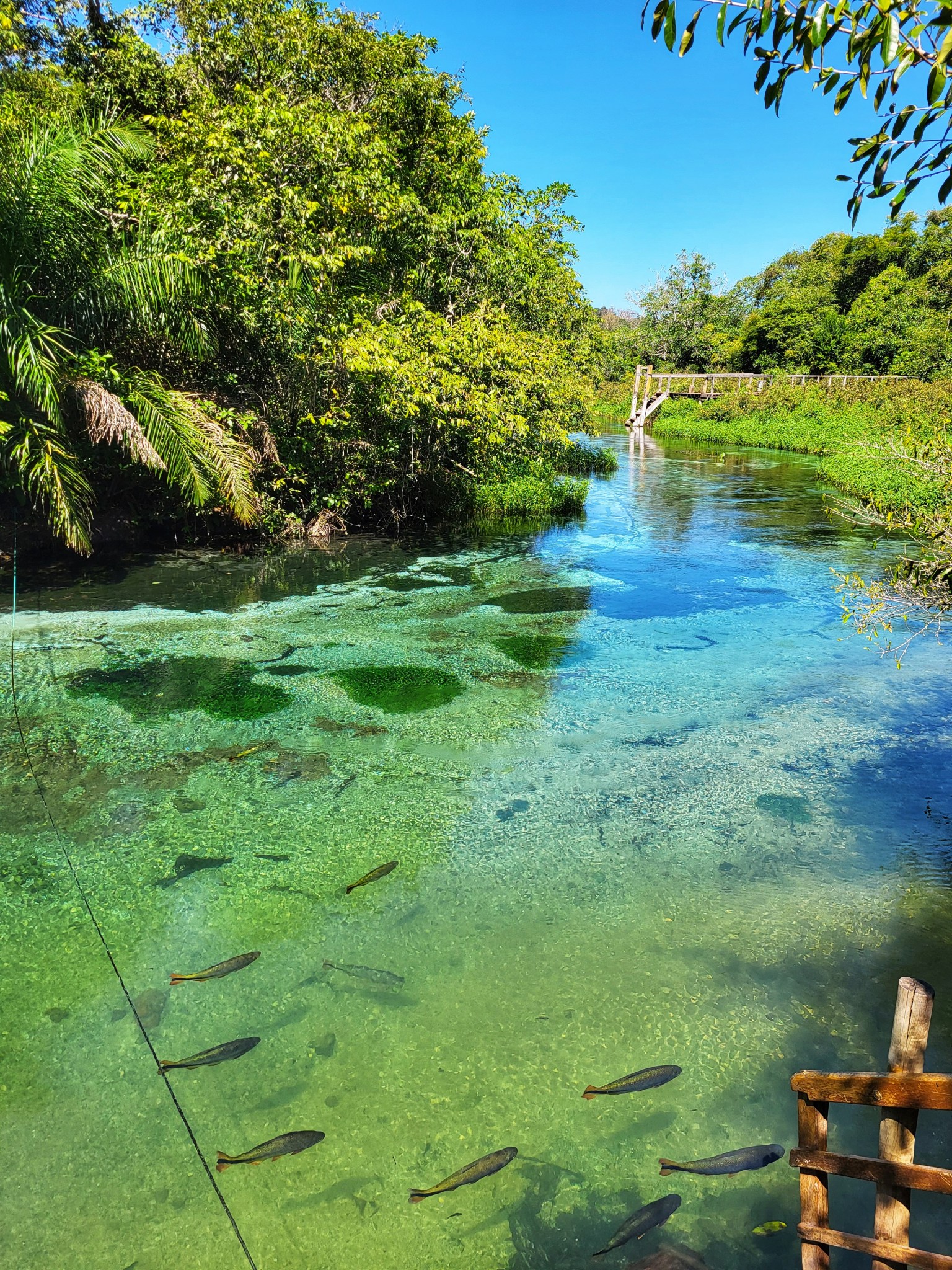 Bonito: A Guide To Brazil’s “Beautiful” Hidden Paradise – Notes From Dreams