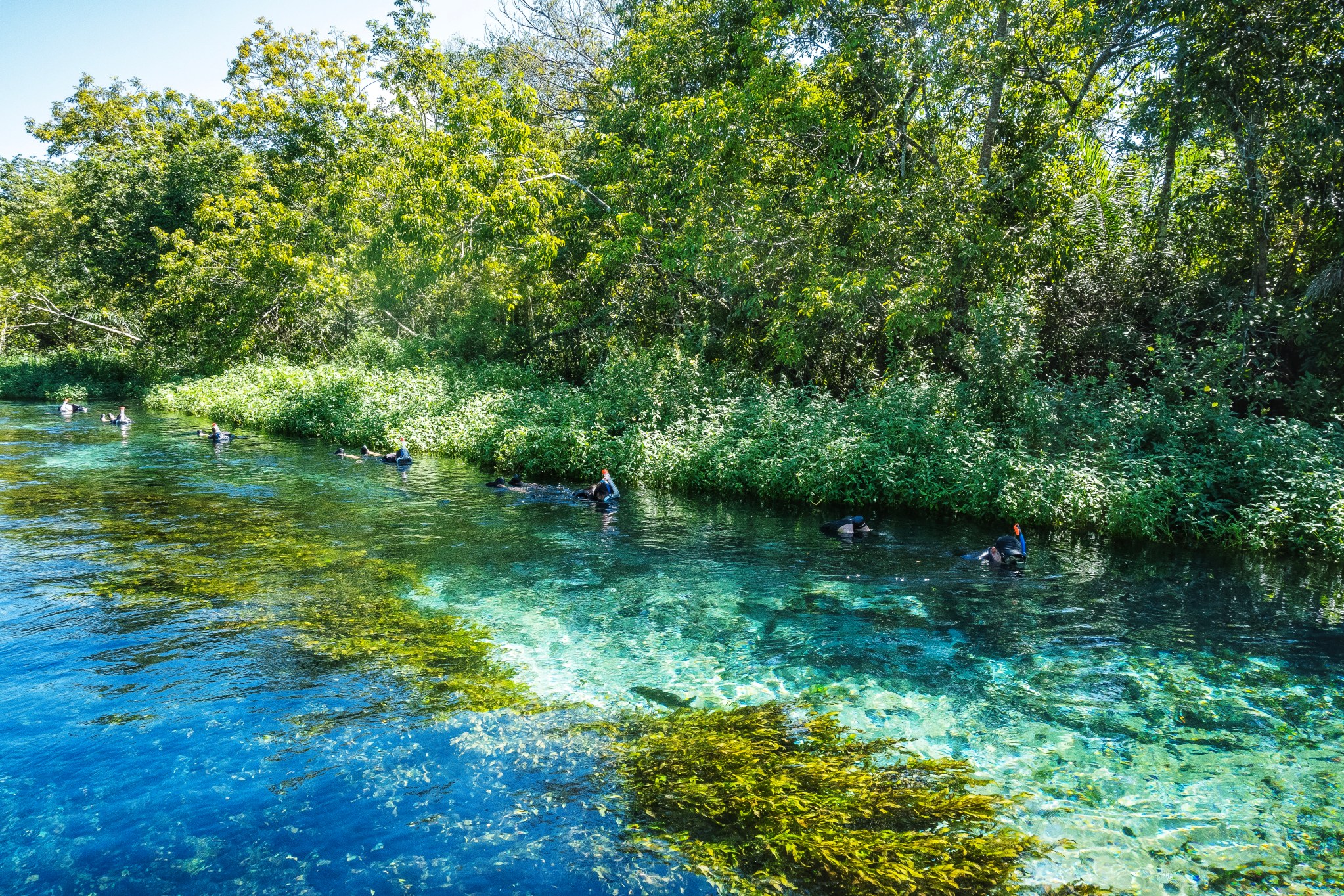 Bonito: A Guide To Brazil’s “Beautiful” Hidden Paradise – Notes From Dreams