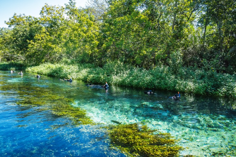 Bonito: A Guide To Brazil’s “Beautiful” Hidden Paradise – Notes From Dreams